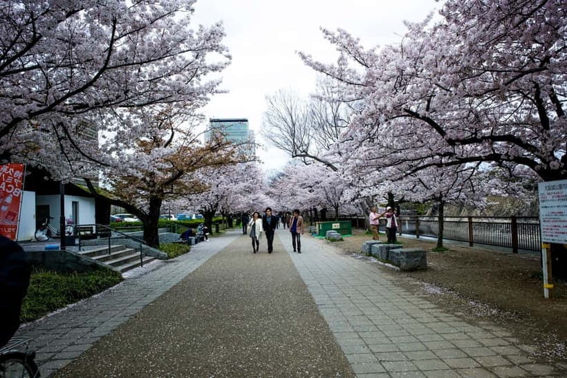 Osaka: Osaka Castle 3 hours Historical Walking Tour - A Detailed Look at the Osaka Castle Tour