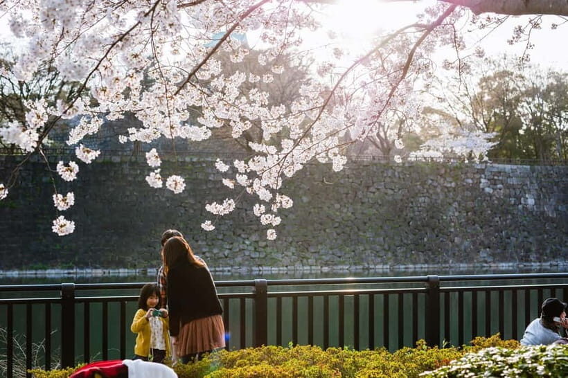 Osaka: Osaka Castle 3 hours Historical Walking Tour - Final Thoughts