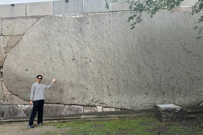 Osaka: Osaka Castle Tower Private Guided Tour in 90 Minutes - Accessibility and Participation