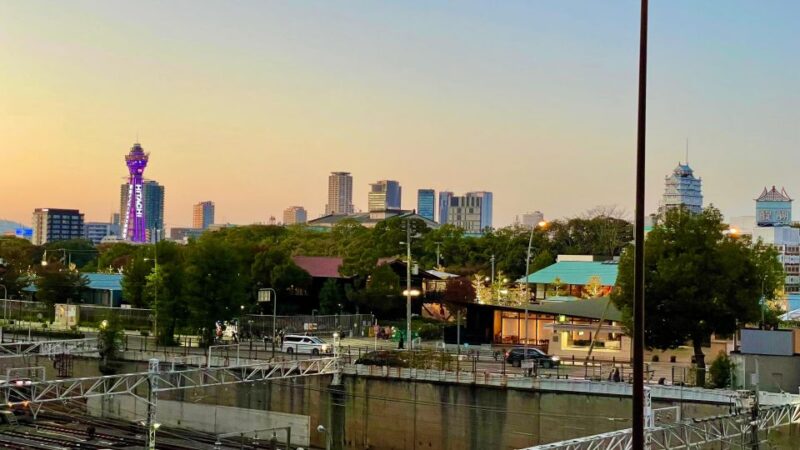 Osaka: Osaka Castle - Tsuruhashi - Tennoji (Spanish Guide) - Customer Testimonials