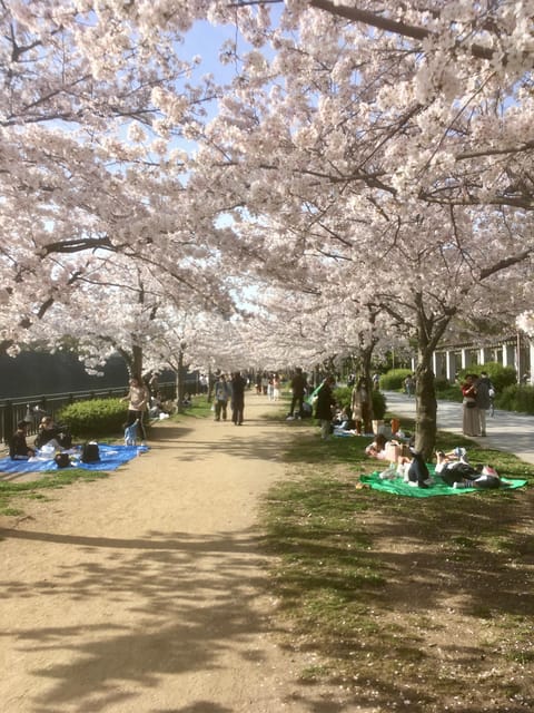 Osaka: Private and Fully Customized Tour With Hotel Pick up - Accessibility and Personalization