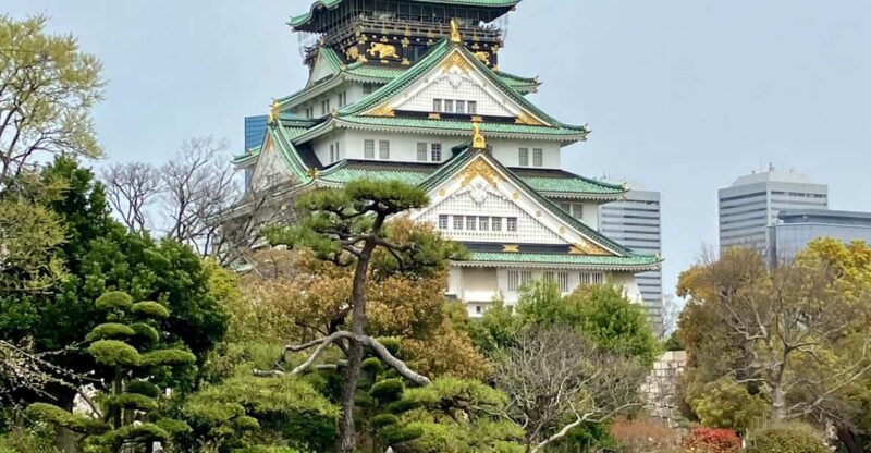 Osaka: Private and Fully Customized Tour With Hotel Pick up - Customer Reviews
