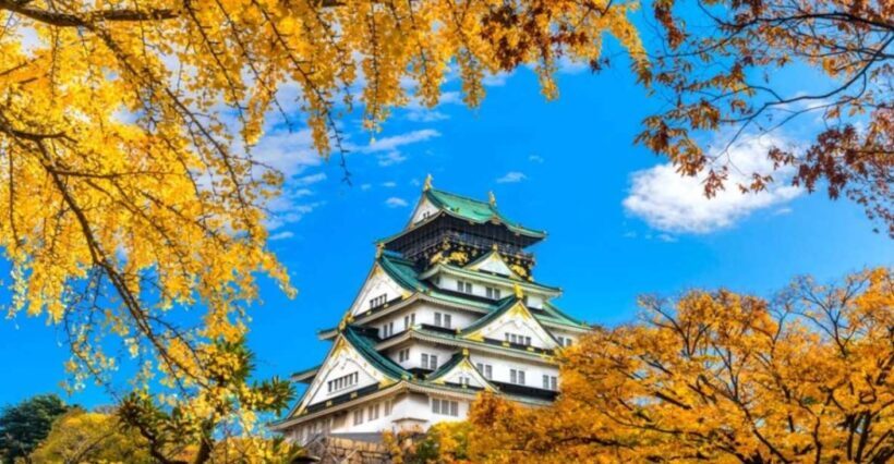 Osaka: Private Customizable Day Tour with Hotel Transfer - The Sum Up