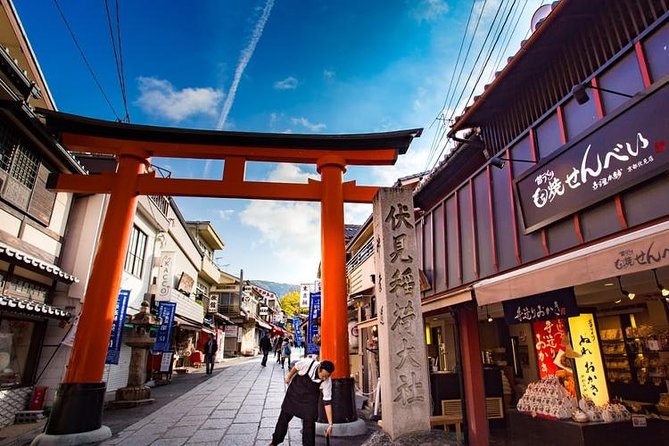 Osaka Private Customizable Half Day Tour - Inclusions and Transportation