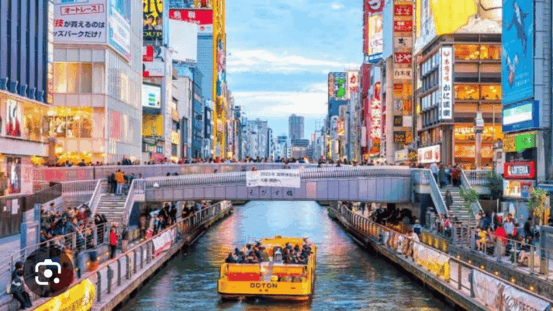 Osaka: Private Customizable Tour By English Speaking Driver - Key Activities and Optional Stops