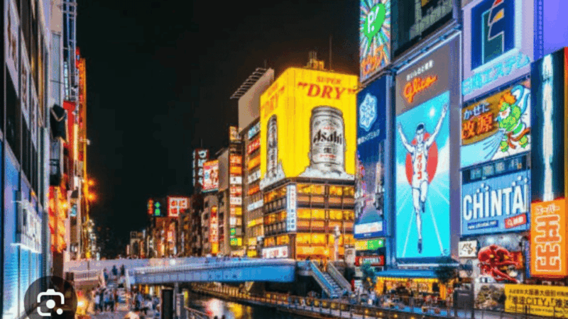 Osaka: Private Customizable Tour By English Speaking Driver - Booking and Reservation Details