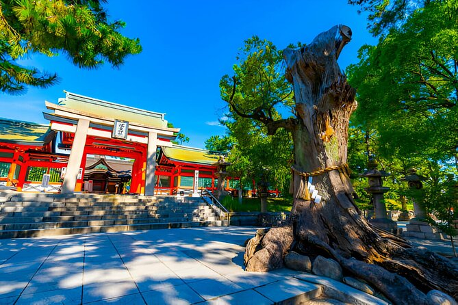 Osaka Private Tour With English-Speaking Driver - Accessibility and Participation
