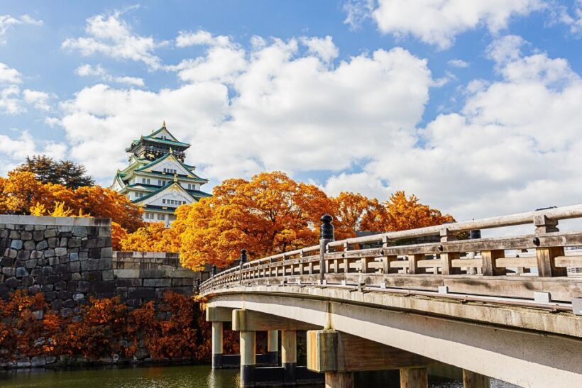 Osaka Private Tour with Government-Licensed Guide - The Sum Up