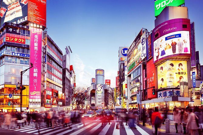 Osaka Private Transfer from Itami Airport (ITM) to central Osaka - The Ride: What to Expect