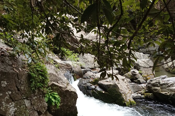 Osaka River Rapids Hike and Natural Hot Spring Tour - Hike Through the Osaka River Rapids