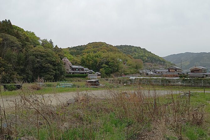 Osaka River Rapids Hike and Natural Hot Spring Tour - Rejuvenating Hot Spring Experience