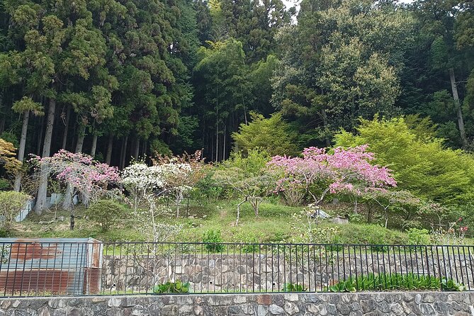 Osaka River Rapids Hike and Natural Hot Spring Tour - Common Questions