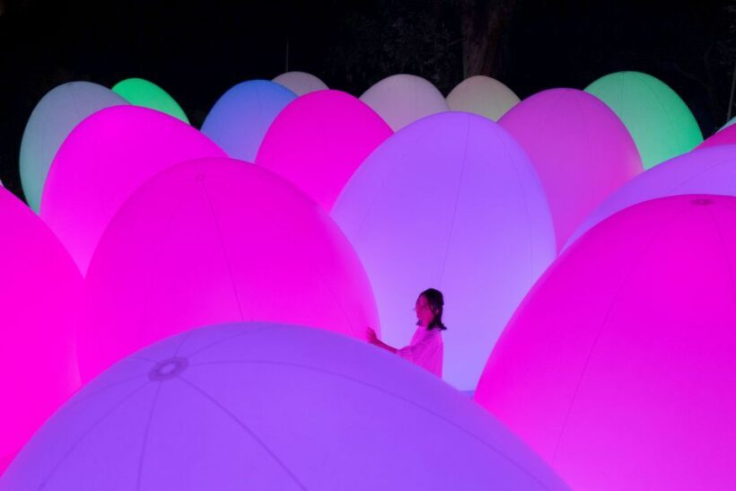 Osaka: teamLab Botanical Garden Entry Ticket - What to Expect During Your Visit