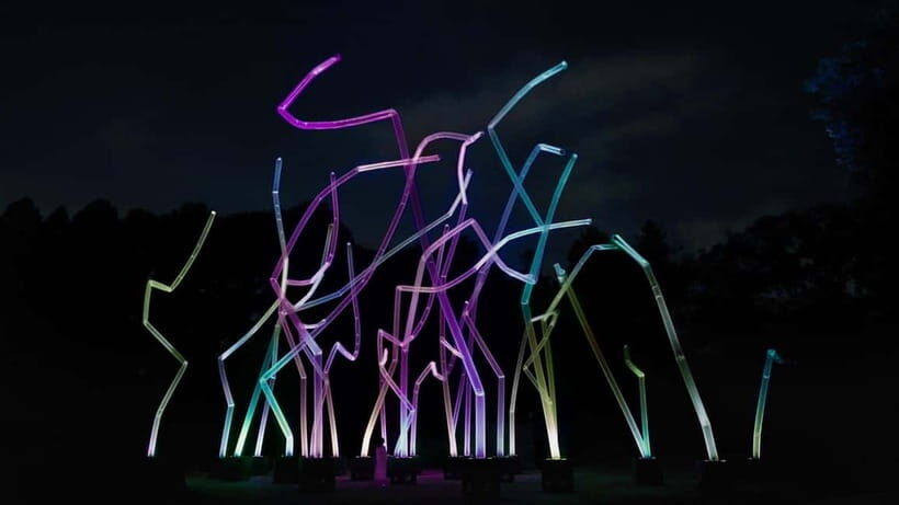 Osaka: teamLab Botanical Garden Entry Ticket - The Sum Up: Is It Worth It?