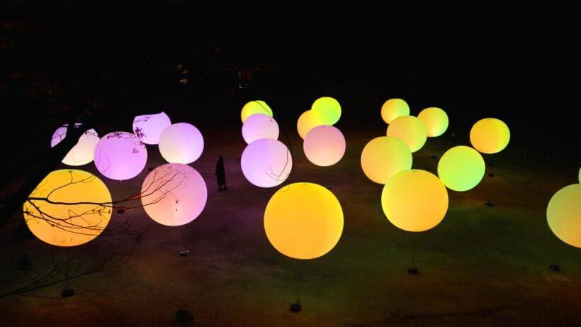 Osaka: teamLab Botanical Garden Entry Ticket - FAQ