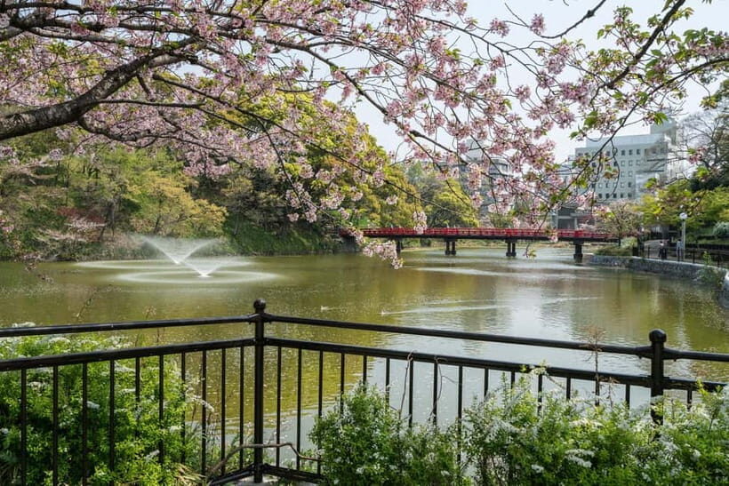 Osaka: Tennoji Ward, Shinsekai 3 hours Walking Tour - Analyzing the Value: What Does the Tour Offer for Your Money?