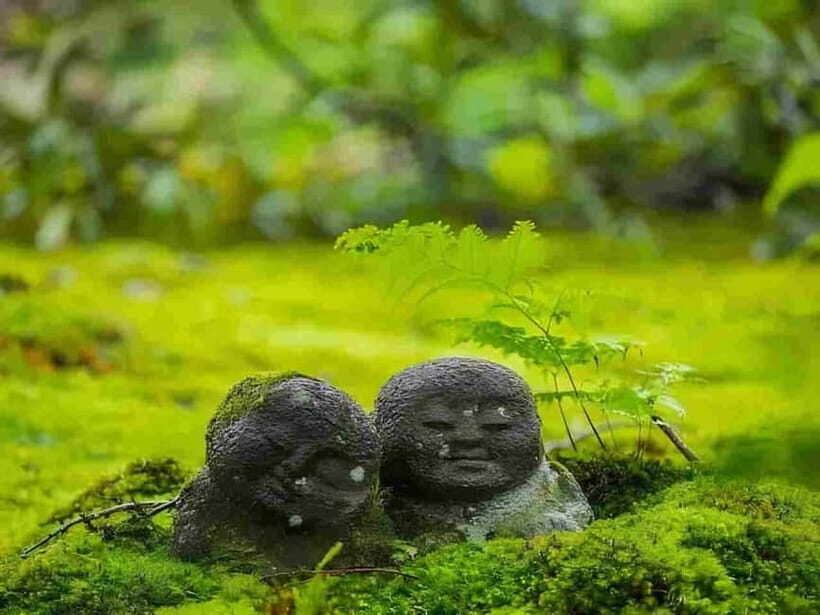 Osaka to Kyoto: Arashiyama Bamboo Grove Small Group Tour - An In-Depth Look at the Experience