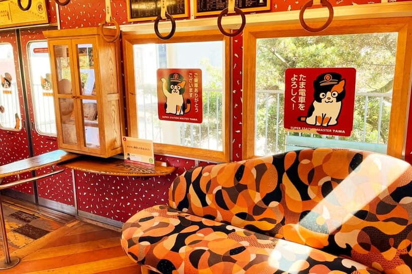Osaka: Wakayama Cat Train, Seafood market, Hot Springs Tour - An In-Depth Look at the Wakayama Day Trip