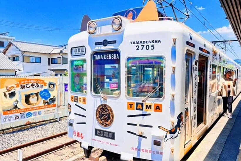 Osaka: Wakayama Cat Train, Seafood market, Hot Springs Tour - Whimsical Train Ride and Café Stops