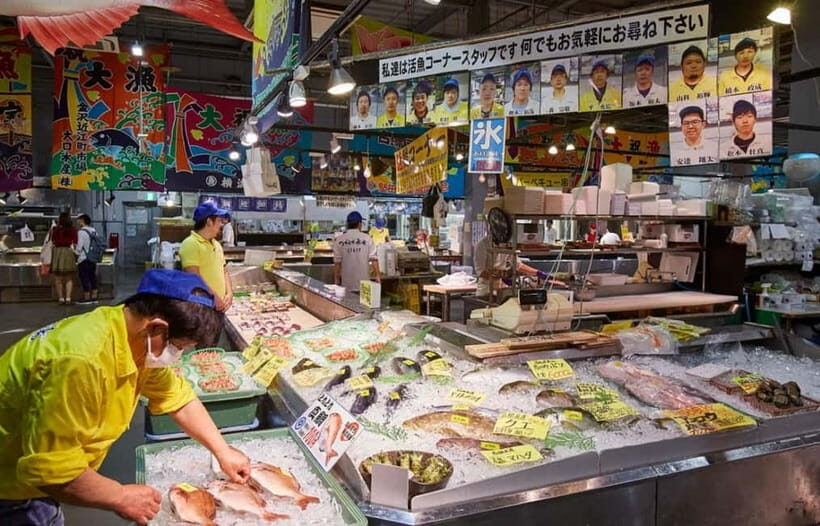 Osaka: Wakayama Cat Train, Seafood market, Hot Springs Tour - Coastal Beauty and Scenic Views