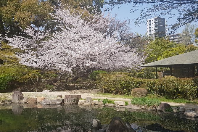 Osakas Best and Brightest by Private Vehicle - Exploring Dotonbori: Neon Lights and Culinary Delights