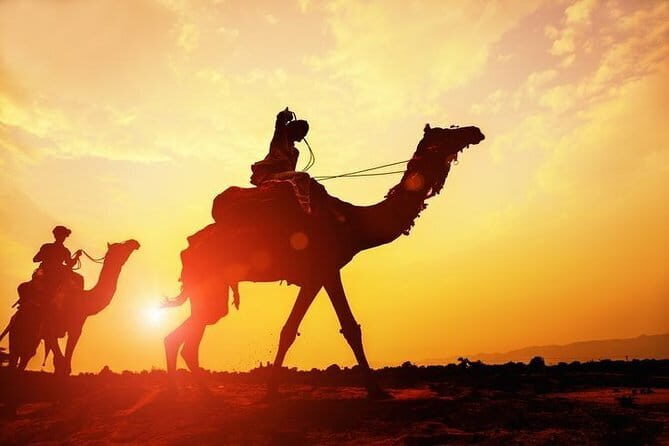 Osian Desert Camel Safari - Key Points