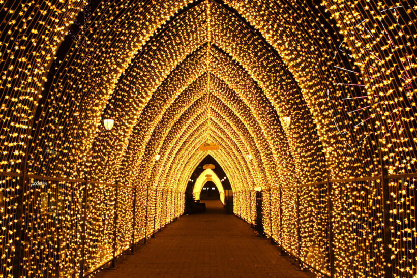 Oslo: 2-hour Christmas Private Walking Tour - Discover Oslos Christmas Magic: A 2-Hour Private Walking Tour Review