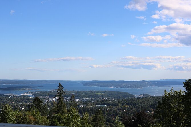 Oslo City Highlights With Fjord Cruise - Meeting Point and Ending Point