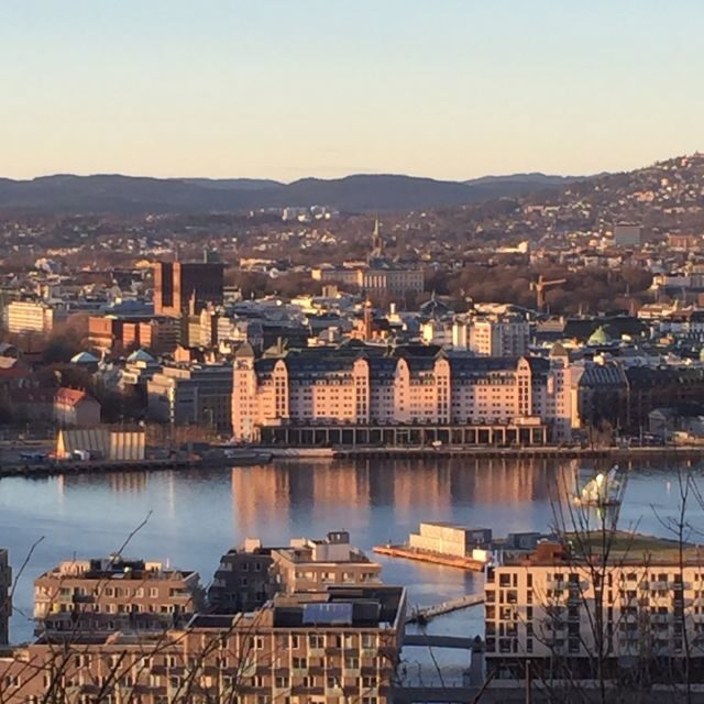 Oslo: City Walking Tour - FAQ