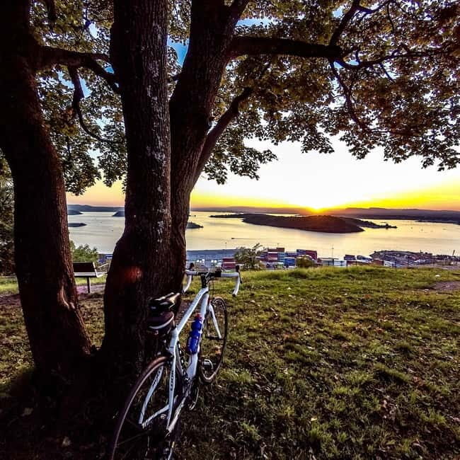 Oslo El-Bike Panorama Tour - Authentic Reviews: What Travelers Say