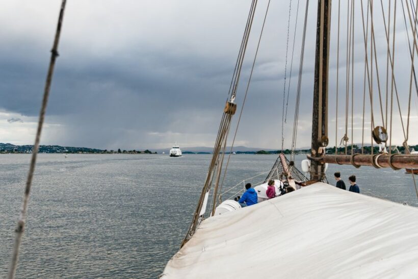 Oslo: Fjord Evening Cruise with Shrimp Buffet - What Makes This Cruise Special