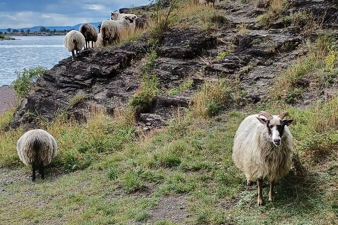 Oslo Nature Walks: Island hopping - The Guides: Knowledgeable and Friendly