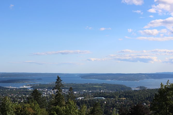 Oslo Panorama Tour Review: A Scenic Adventure - Visiting the Holmenkollen Ski Jump