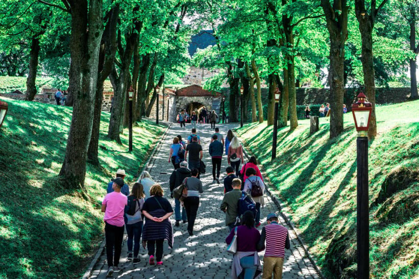 Oslo: Private Walking Tour - Final Thoughts: Is It Right for You?
