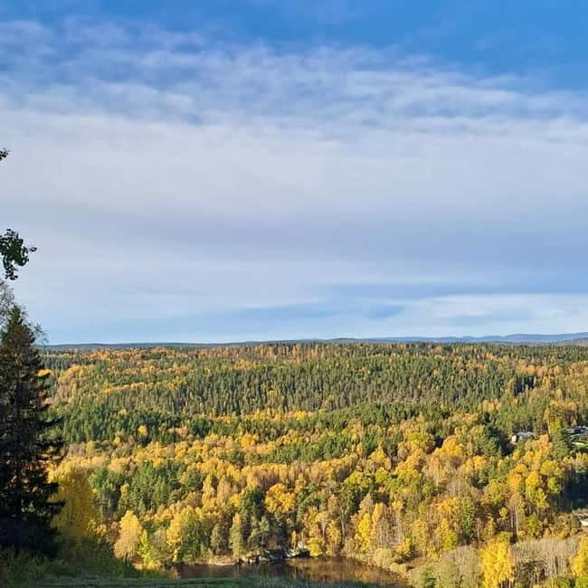 Oslo: Scenic Forest Hike with Dog & Local Guide - Key Points
