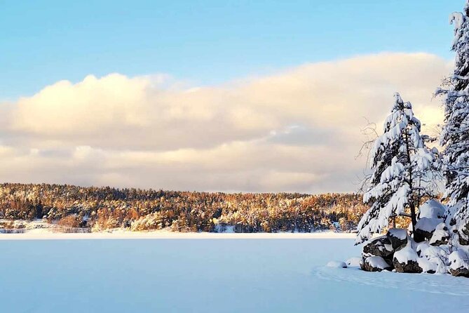 Oslo: Scenic Hike With Local Guide & Dog - Mini Group Adventure - Key Points