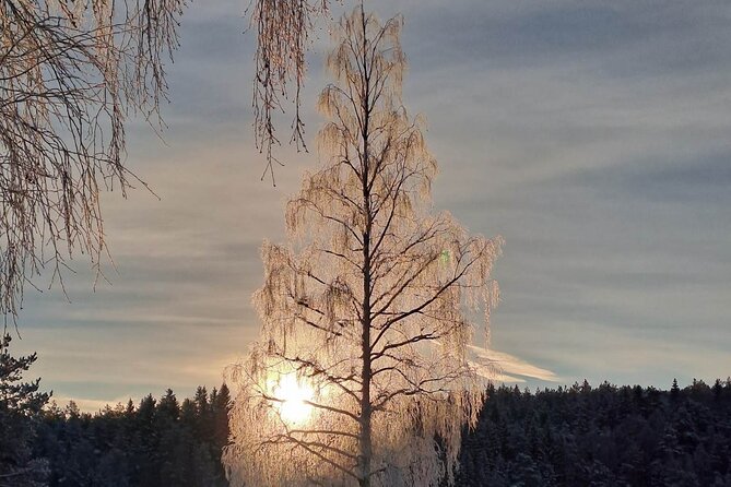 Oslo: Scenic Hike With Local Guide & Dog - Mini Group Adventure - Additional Tour Recommendations