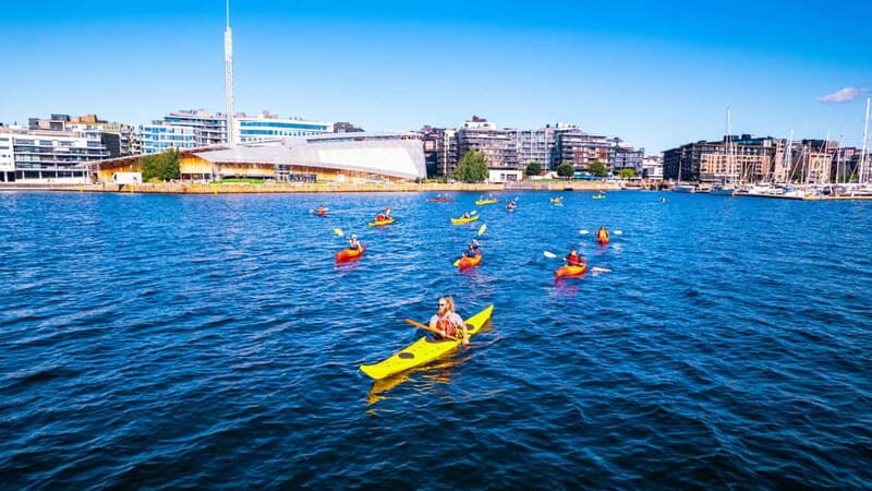 Oslo Sea Kayak Tour Fjord City - Who Should Consider This Tour?
