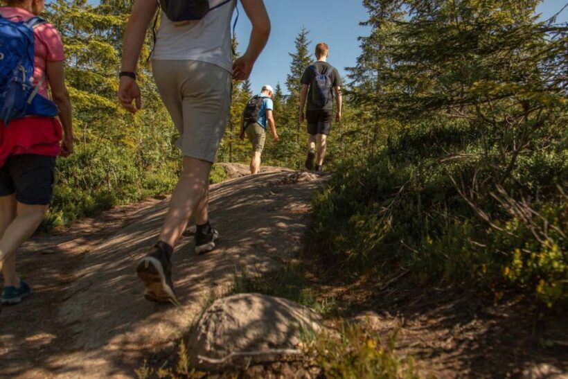Oslo: Skjennungstoppen Wildlife Forest Hiking Tour - FAQs