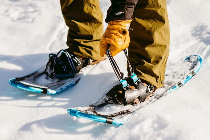 Oslo: Snowshoeing in the Forest with Norwegian BBQ - What to Expect on Your Oslo Snowshoeing Adventure