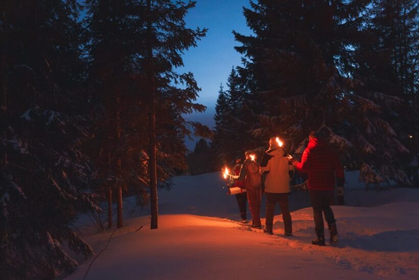 Oslo: Snowy Forest Torchlight Walk with Campfire - Introduction: Why Consider the Snowy Forest Torchlight Walk?