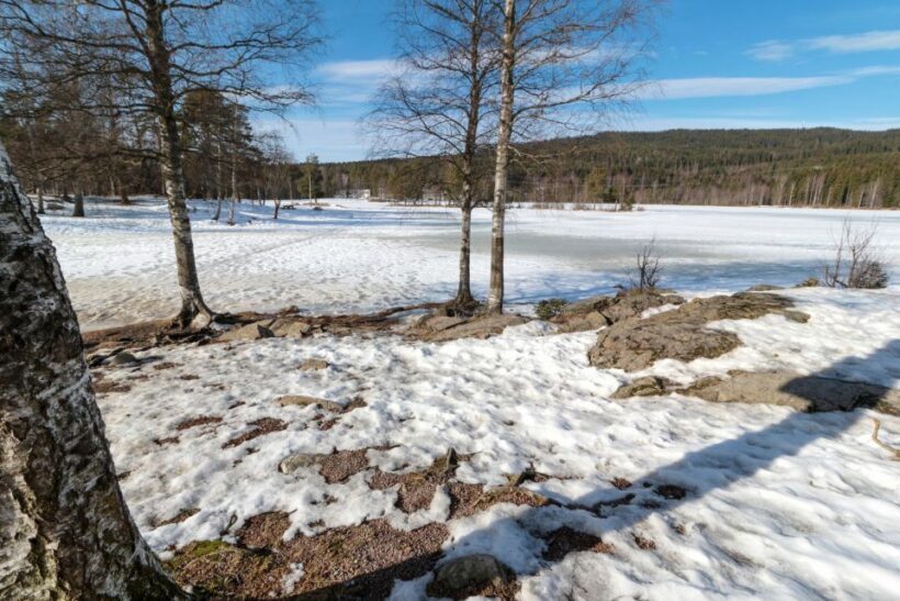 Oslo Summit: A Scenic Hiking Adventure to Vettakollen - Transportation & Logistics