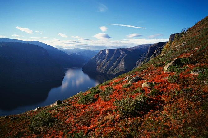 Oslo to Bergen Self-Guided Full Day Trip With Flåm Railway and Fjord Cruise - Transportation Details and Itinerary