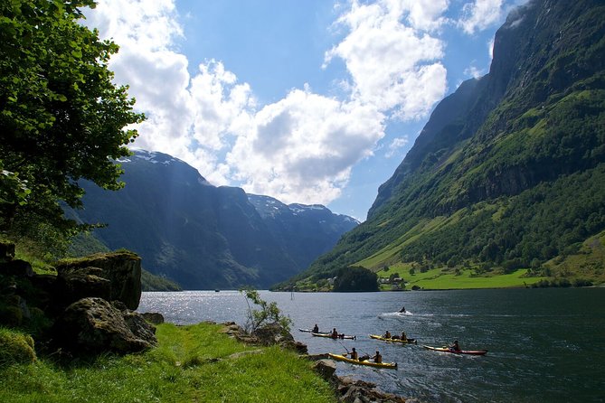 Oslo to Bergen Self-Guided Full Day Trip With Flåm Railway and Fjord Cruise - Pricing and Booking Information