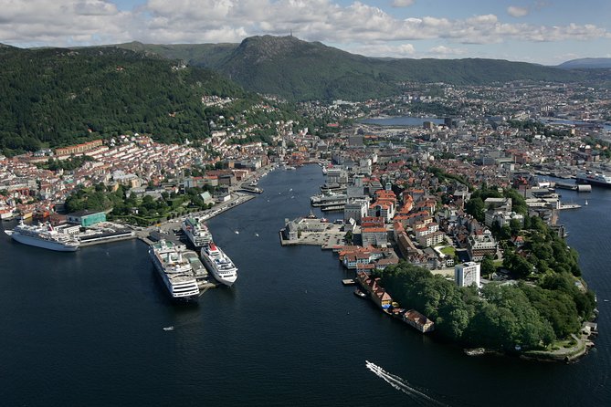 Oslo to Bergen Self-Guided Full Day Trip With Flåm Railway and Fjord Cruise - Ticket Delivery and Instructions