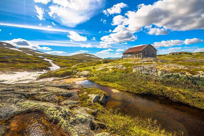 Oslo To Sognefjord Private Full Day Roundtrip Including Flam Railway - Meal and Snack Recommendations