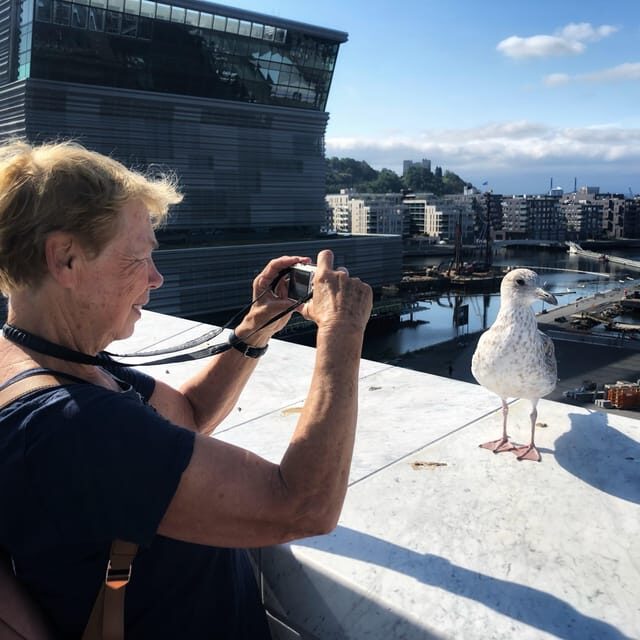 Oslo Unveiled: Private Walking Tour - The Value of a Private, Tailored Tour