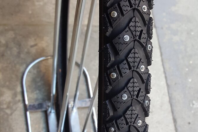 Oslo Winter Highlights Bike Tour - Booking Information