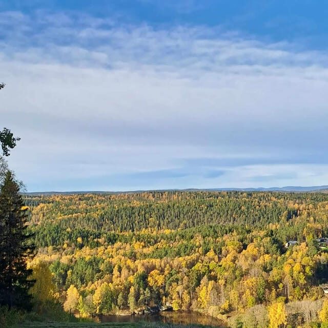 Oslo: Yoga & Hiking with a dog - Oslo: Yoga & Hiking with a Dog — A Refreshing Nature Escape Close to the City
