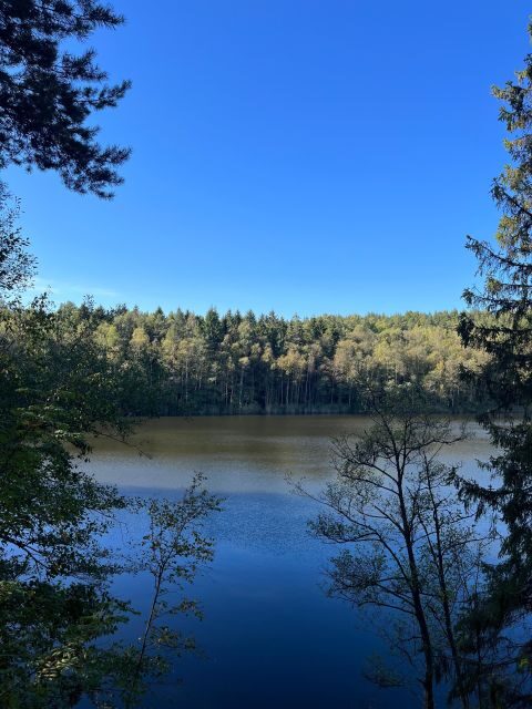 Oslo: Yoga & Hiking with a dog - Detailed Breakdown of the Day